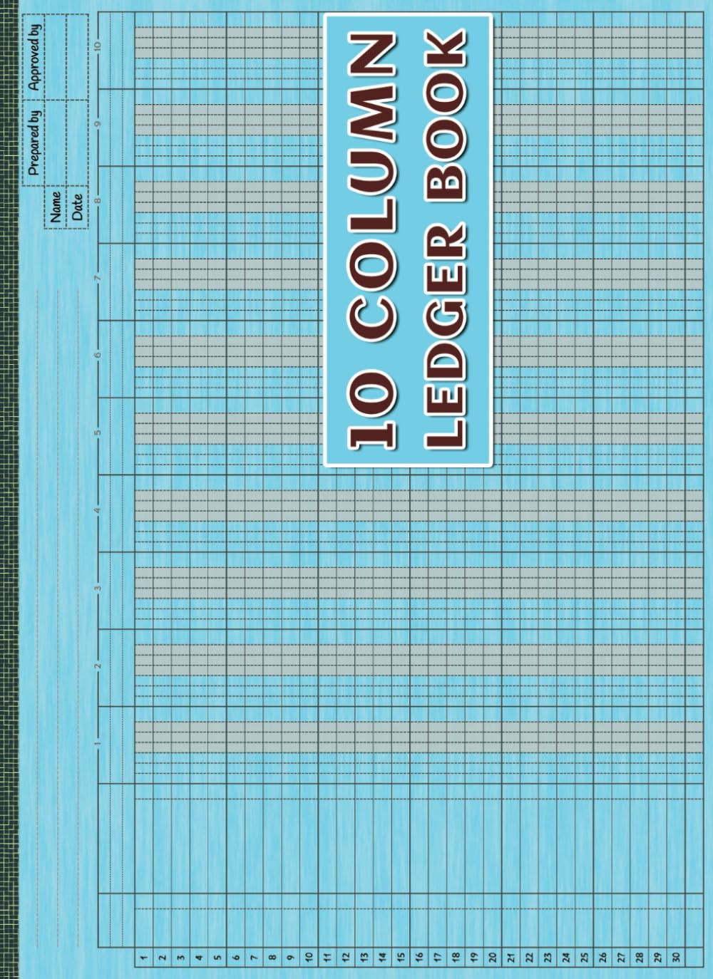 Amazon.com: 10 Column Ledger Book: Large Accounting Ledger Logbook for ...