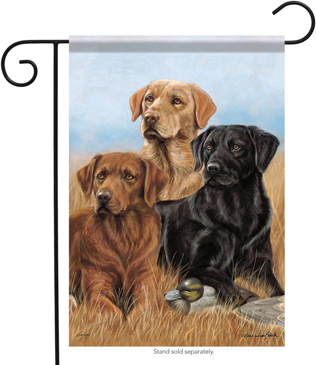 Amazon.com : Carson Home Accents Flagtrends Classic Garden Flag, Dogs ...