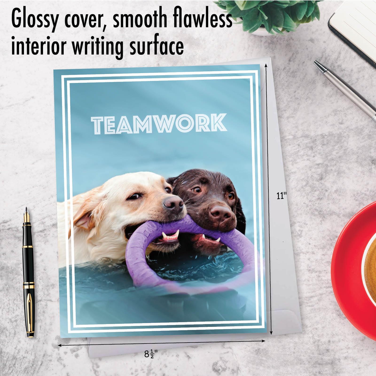 Cute Animals Teamwork