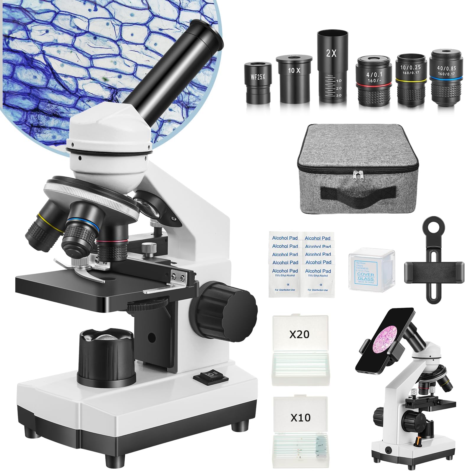 Amazon.com: Microscope for Adults Kids, 100X-2000X BEBANG Compound ...