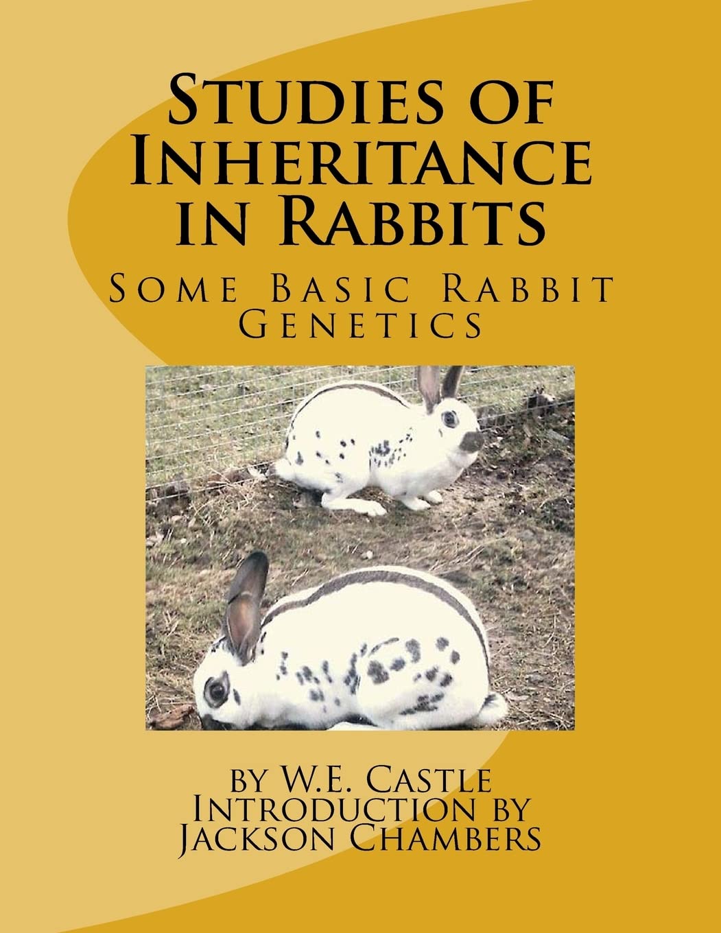 Studies of Inheritance in Rabbits: Some Basic Rabbit Genetics: Castle ...
