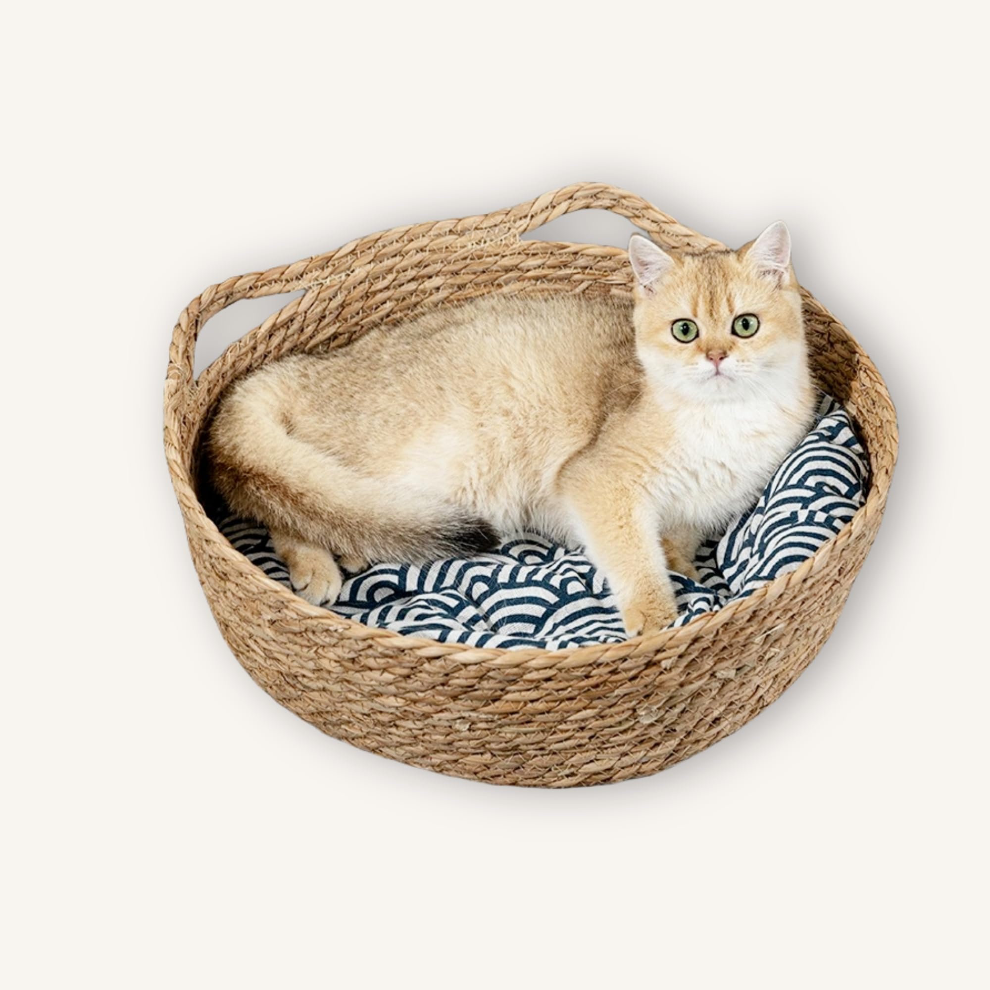 Amazon.com : Woven Cat Bed Basket Nest Breathable Pet Supplies Lounge ...