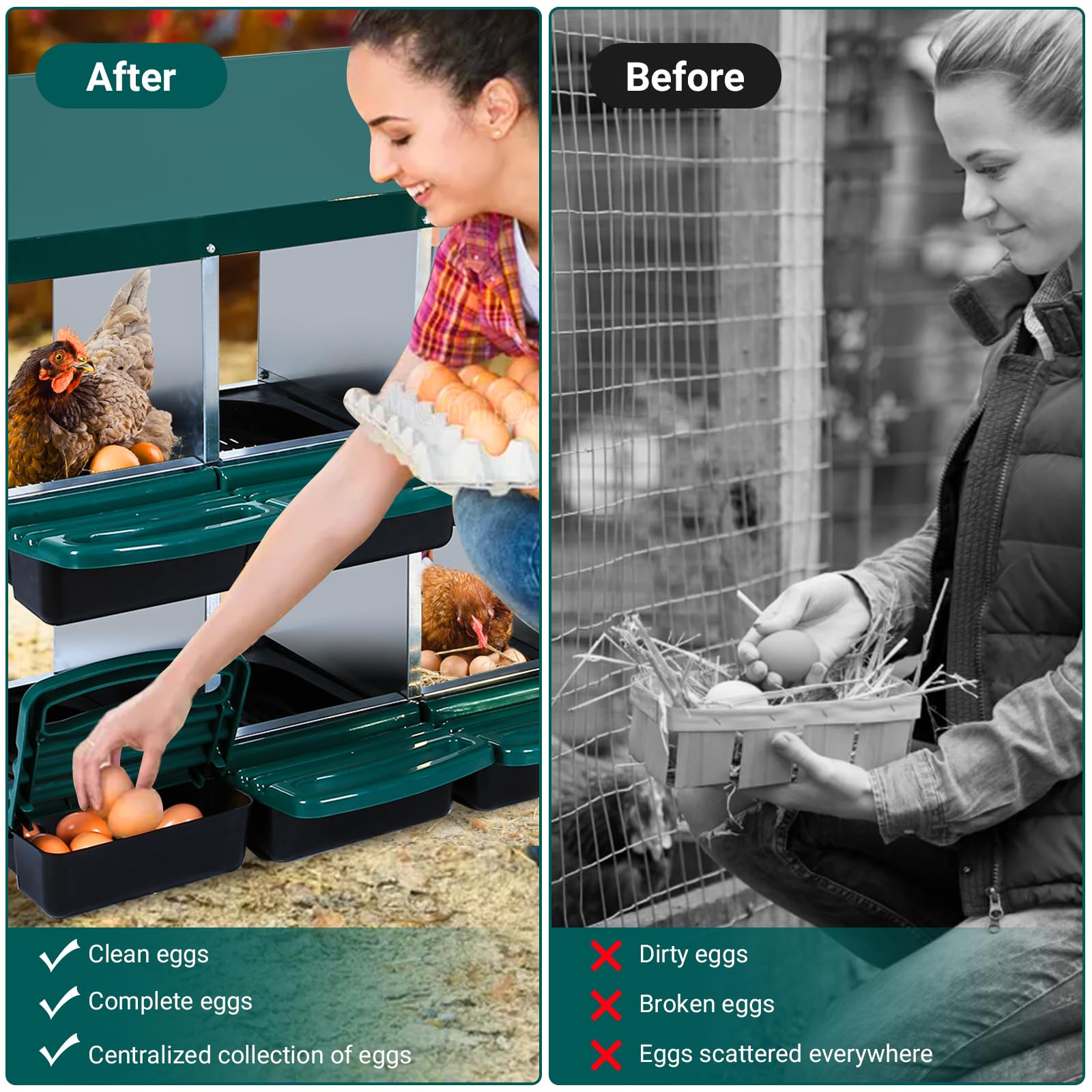 Snapklik.com : GarveeLife Nesting Boxes For Chickens, 10 Holes Chicken ...