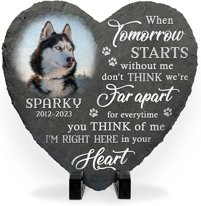 Amazon.com: NANANEST Pet Memorial Stones, Cat Memorial Gifts, Dog ...