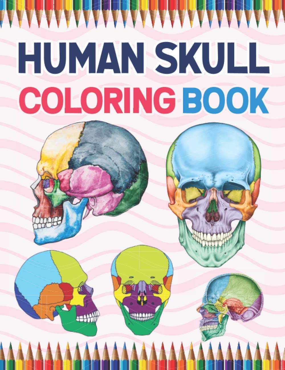 Human Skull Coloring Book: Human Skull and Human Anatomy Learning ...