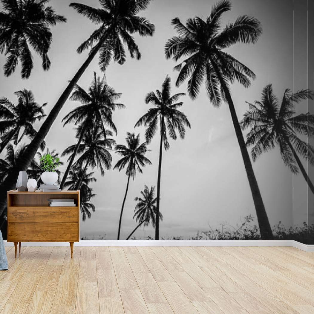 Palm Tree Wallpaper Border Amazon FRAMED Palm Trees, ACRYLIC GLASS,