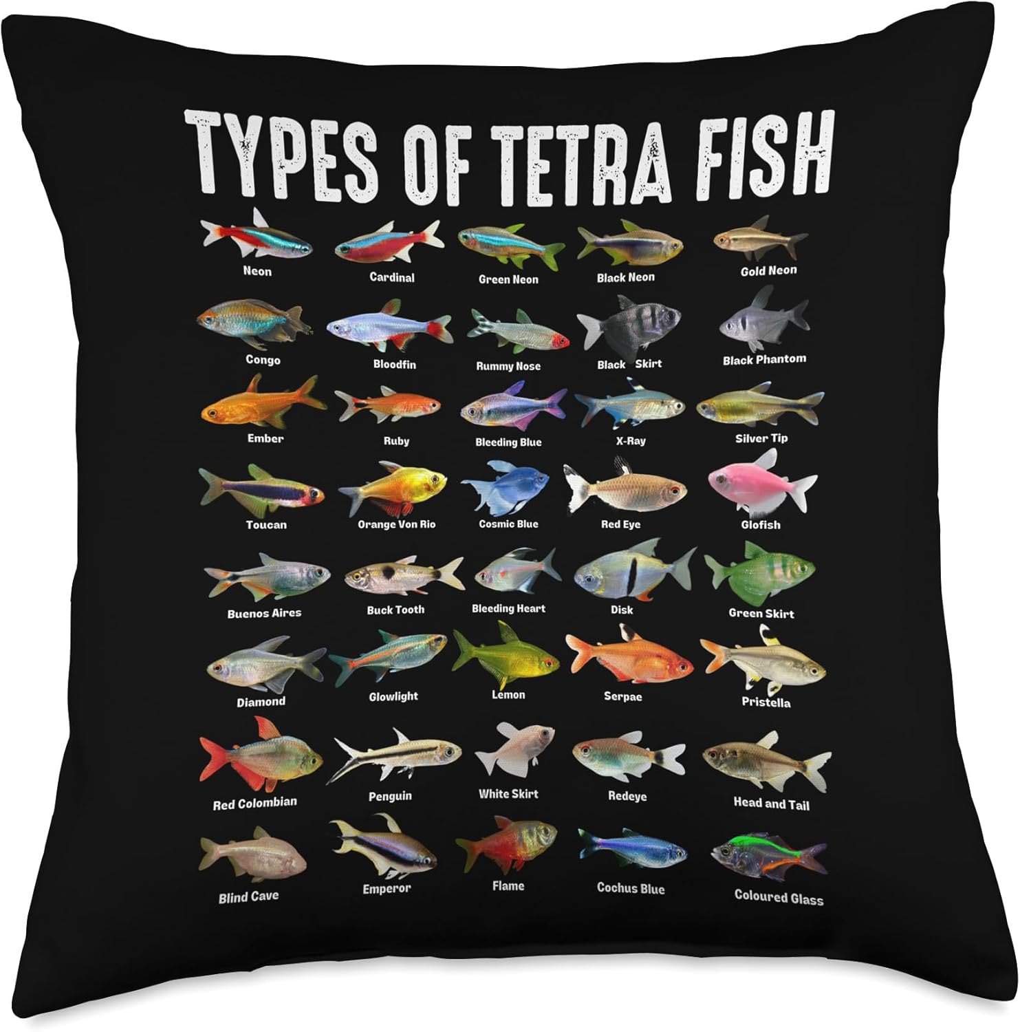 Amazon.com: Types of Tetra Fish - Tetras Aquarium Fish Species Lover Throw Pillow : Home & Kitchen
