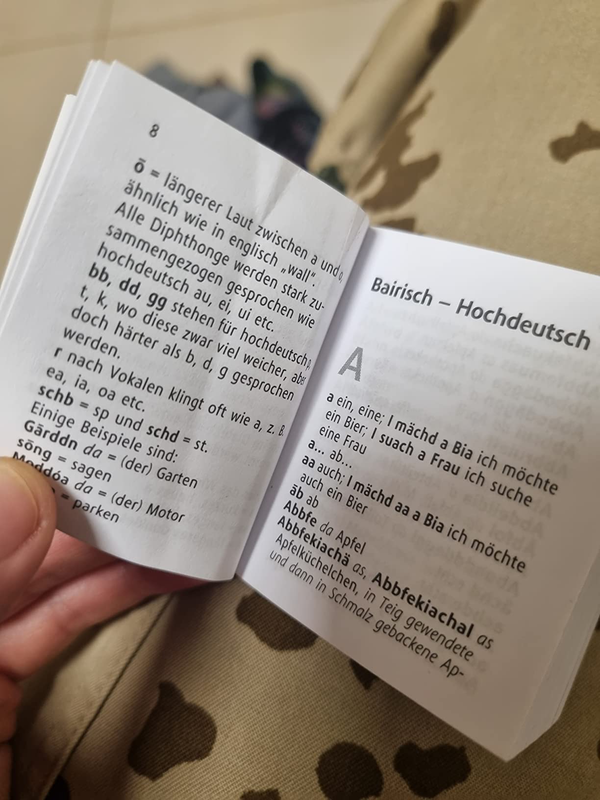 Langenscheidt Lilliput Bairisch: Hochdeutsch-Bairisch / Bairisch ...