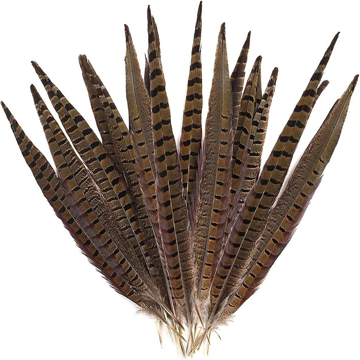 Outuxed 15 plumas de cola de faisán naturales para manualidades, cola ...