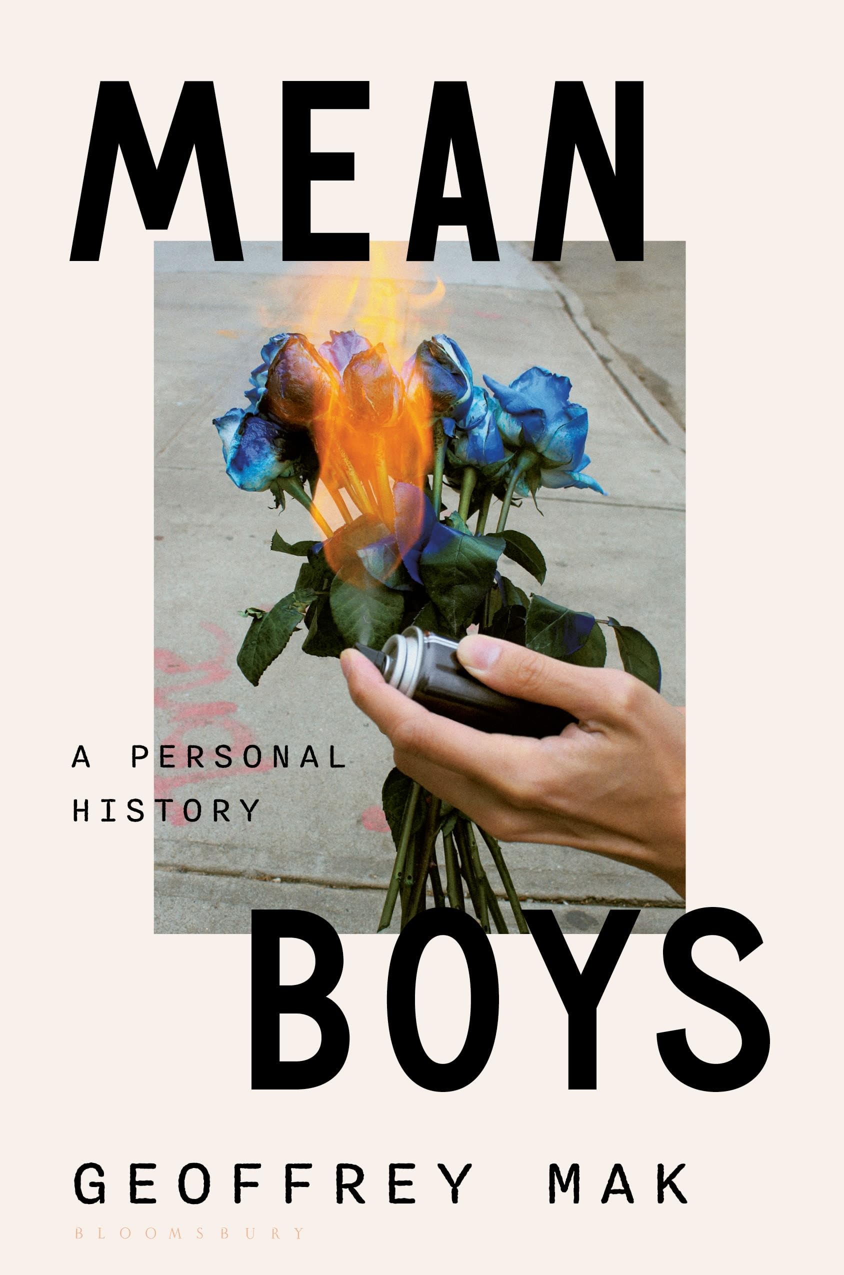Amazon.com: Mean Boys: A Personal History: 9781635577945: Mak, Geoffrey ...