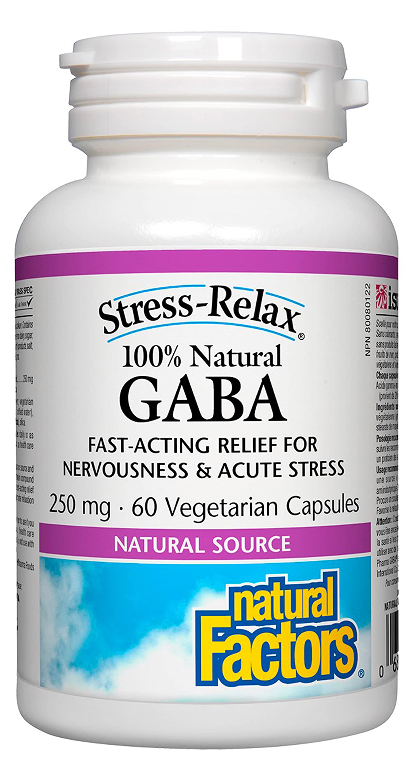 NATURAL FACTORS Gaba (250 mg - 60 veg caps) : Amazon.ca: Health ...