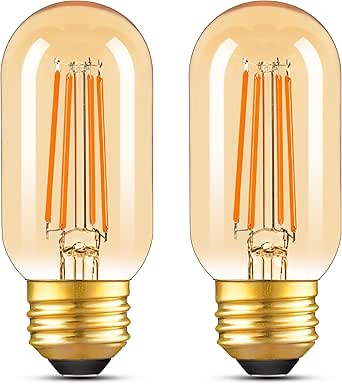 PADMO LUDAZ T45/T14 Dimmable E26 Led Tube Edison Light Bulb,AC120V Warm ...