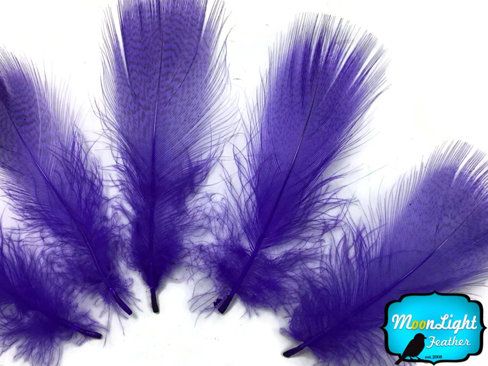 Amazon.com : Duck Feathers, 0.10 Oz. Purple Mallard Duck Flank Feathers ...