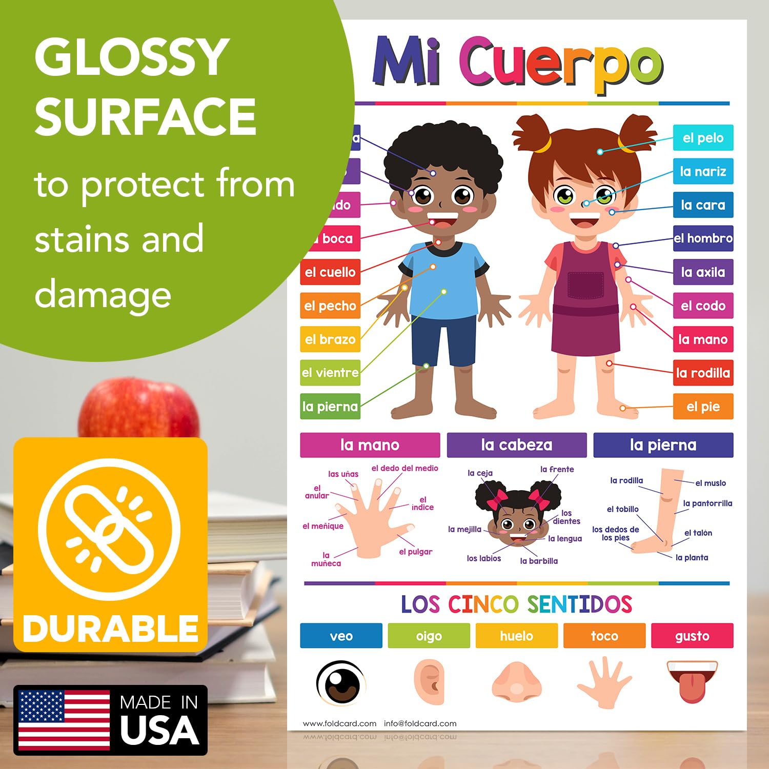 Snapklik.com : Spanish Educational Posters For Kids Bundle Of 14 ...