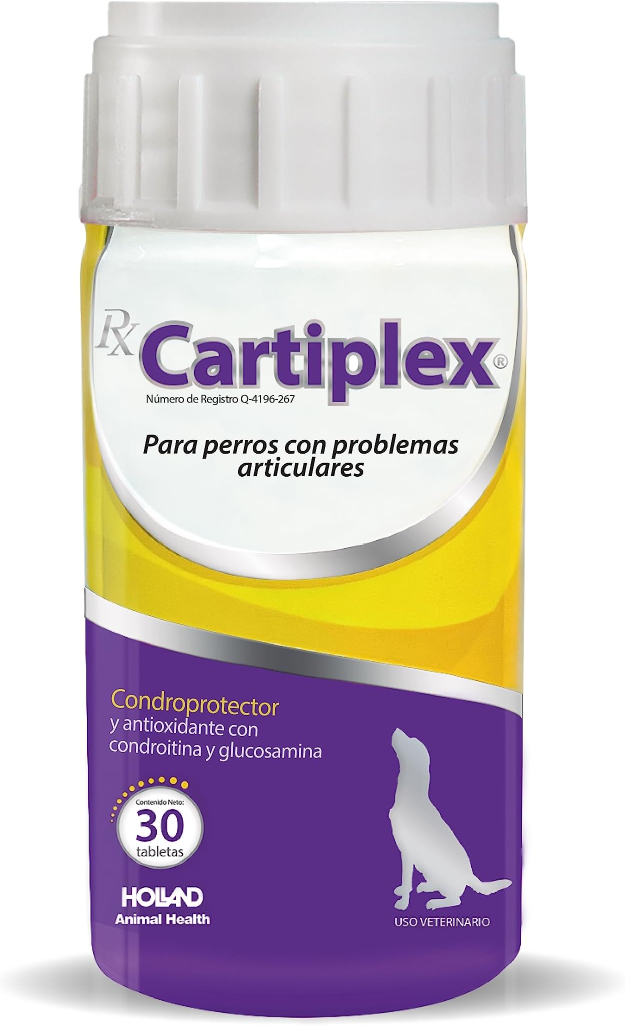 Equilibrium Artroflex Complemento Alimenticio, Color Morado, Todos los ...