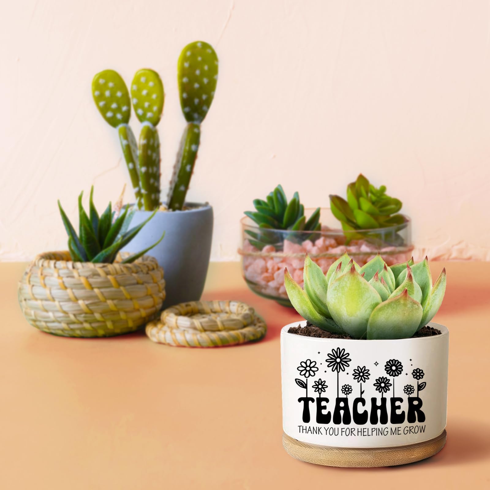 Snapklik.com : Lasimfa Teacher Gifts From Student, Ceramic Succulent ...