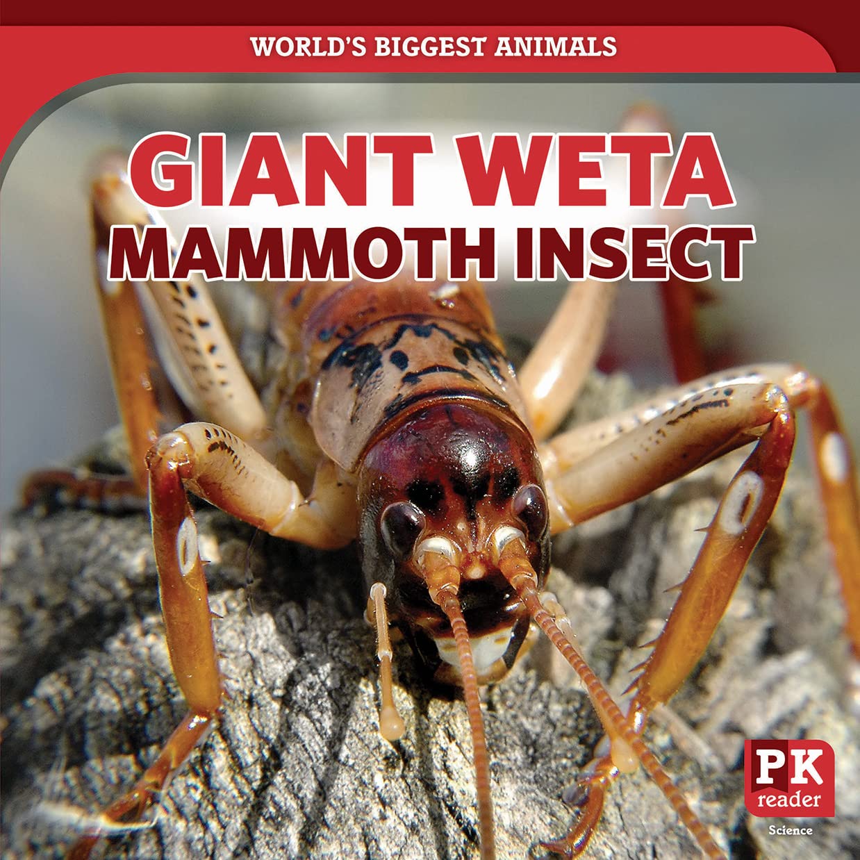 Giant Weta: Mammoth Insect (World's Biggest Animals): Humphrey, Natalie ...