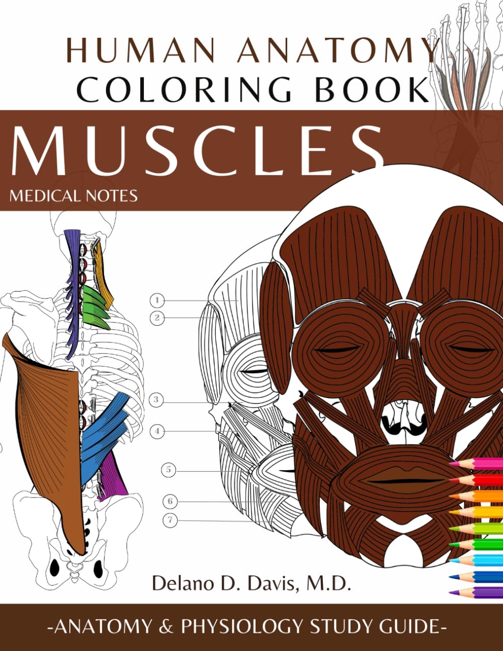 Human Anatomy Coloring Book: Muscles. Medical Notes | Detailed ...