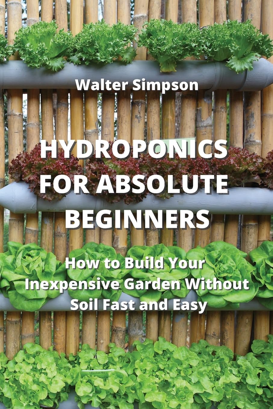 Hydroponics for Absolute Beginners: How to Build Your Inexpensive ...