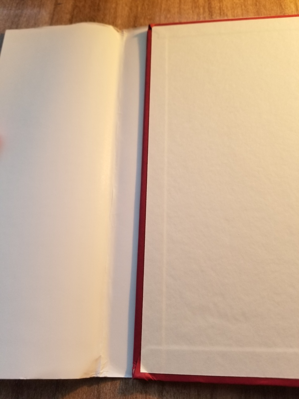 Overbite (Insatiable): Cabot, Meg: 9780061735110: Amazon.com: Books