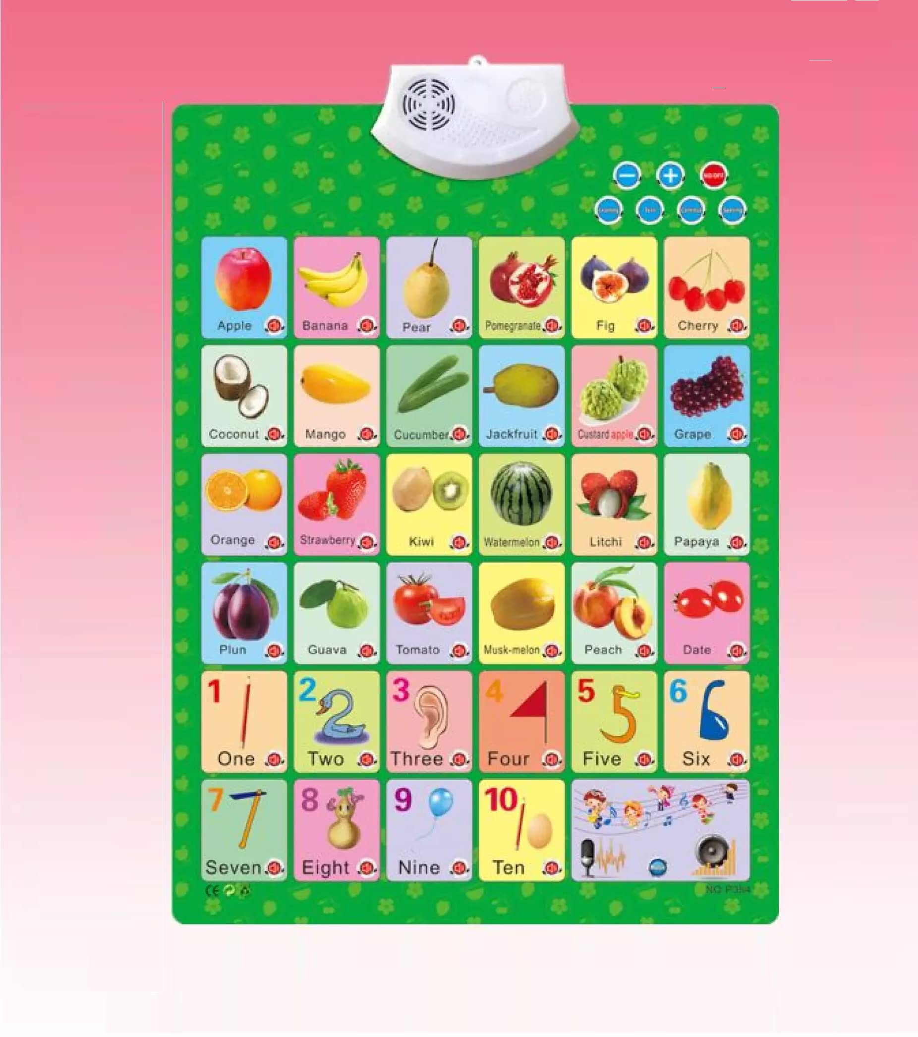 Buy SQUICKLE Electric Interactive Wall Chart, Sound Voice Wall Chart ...