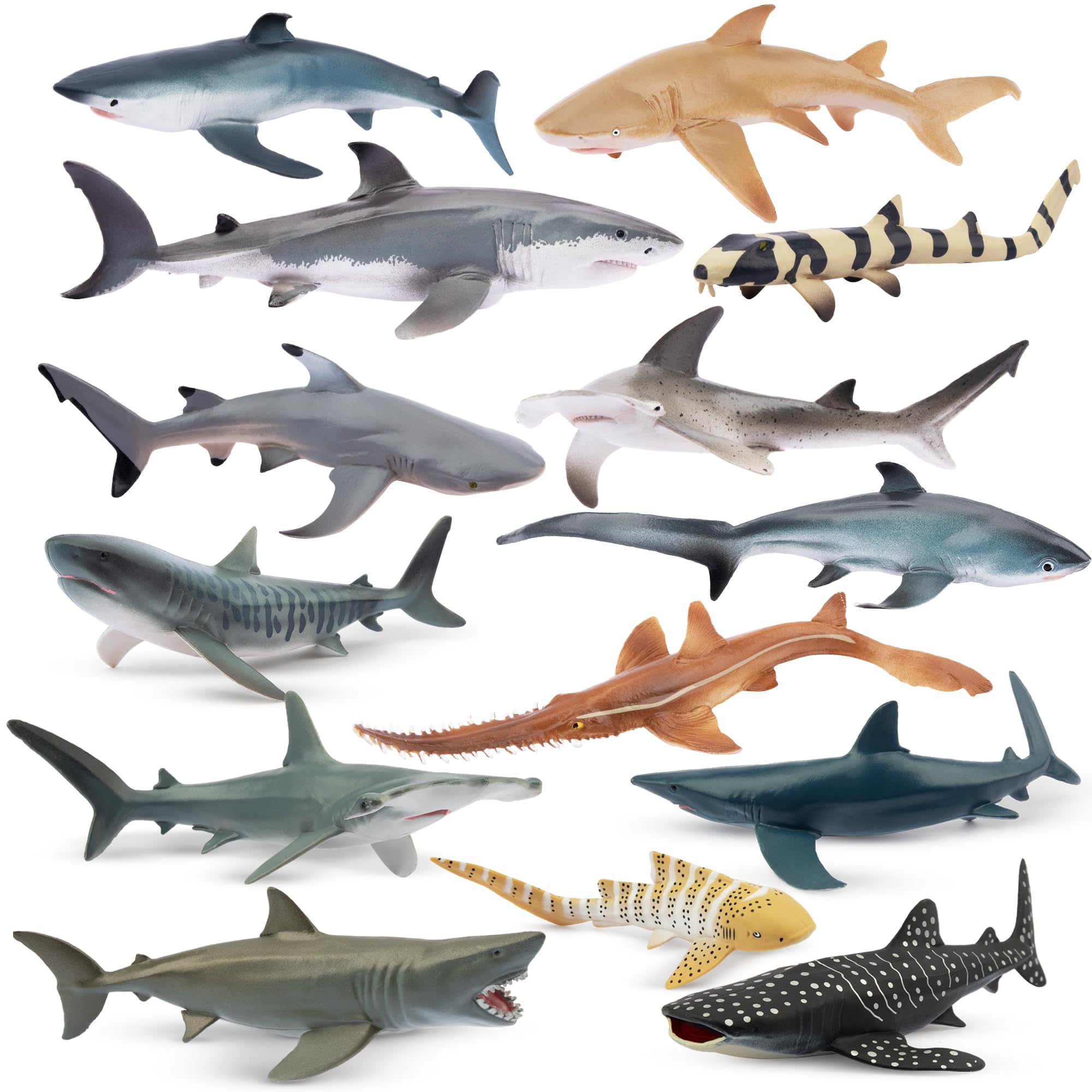 Amazon.com: Toymany 14PCS Realistic Shark Toys Figurines for Kids : Toys & Games
