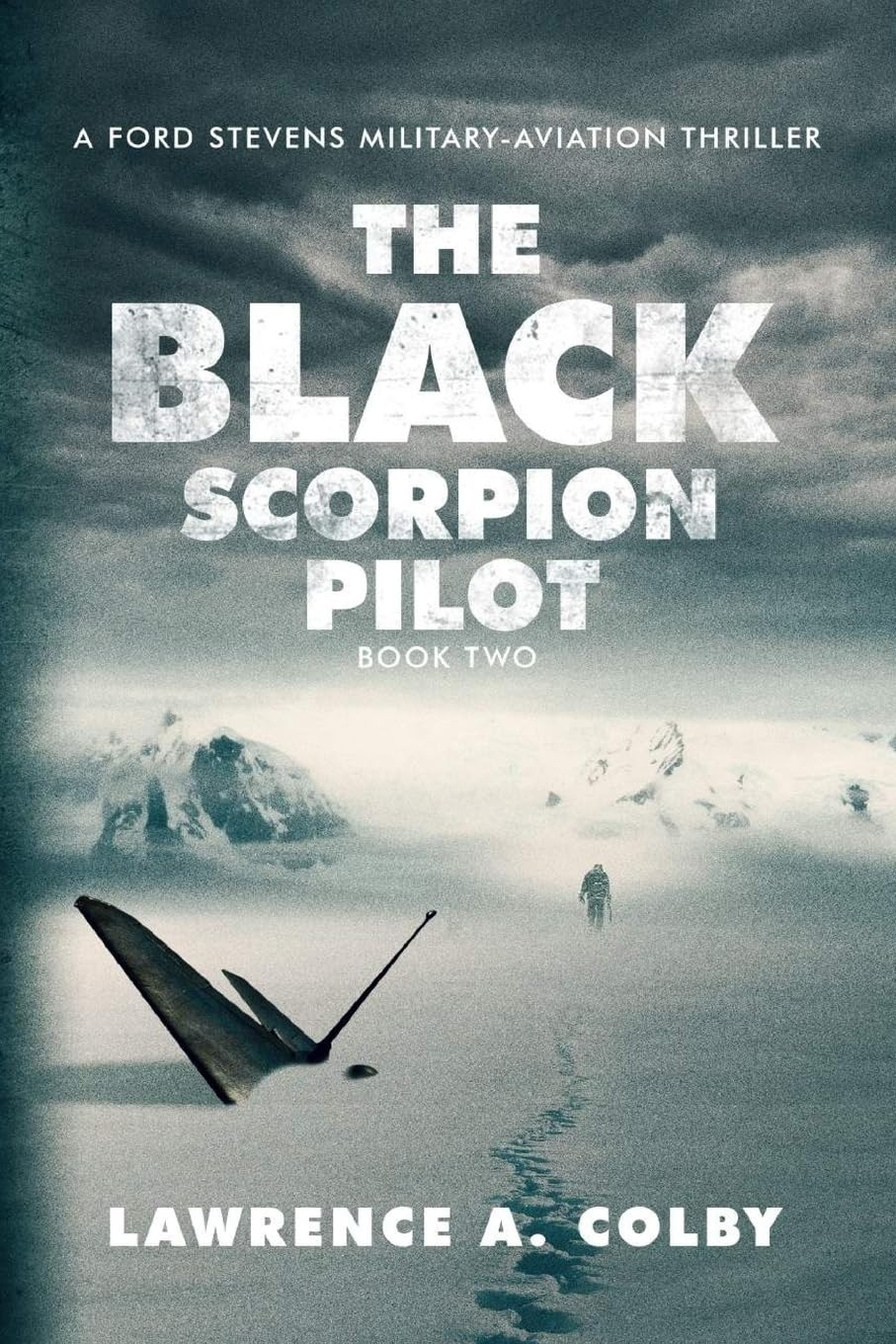 The Black Scorpion Pilot: A Ford Stevens Military-Aviation Thriller ...