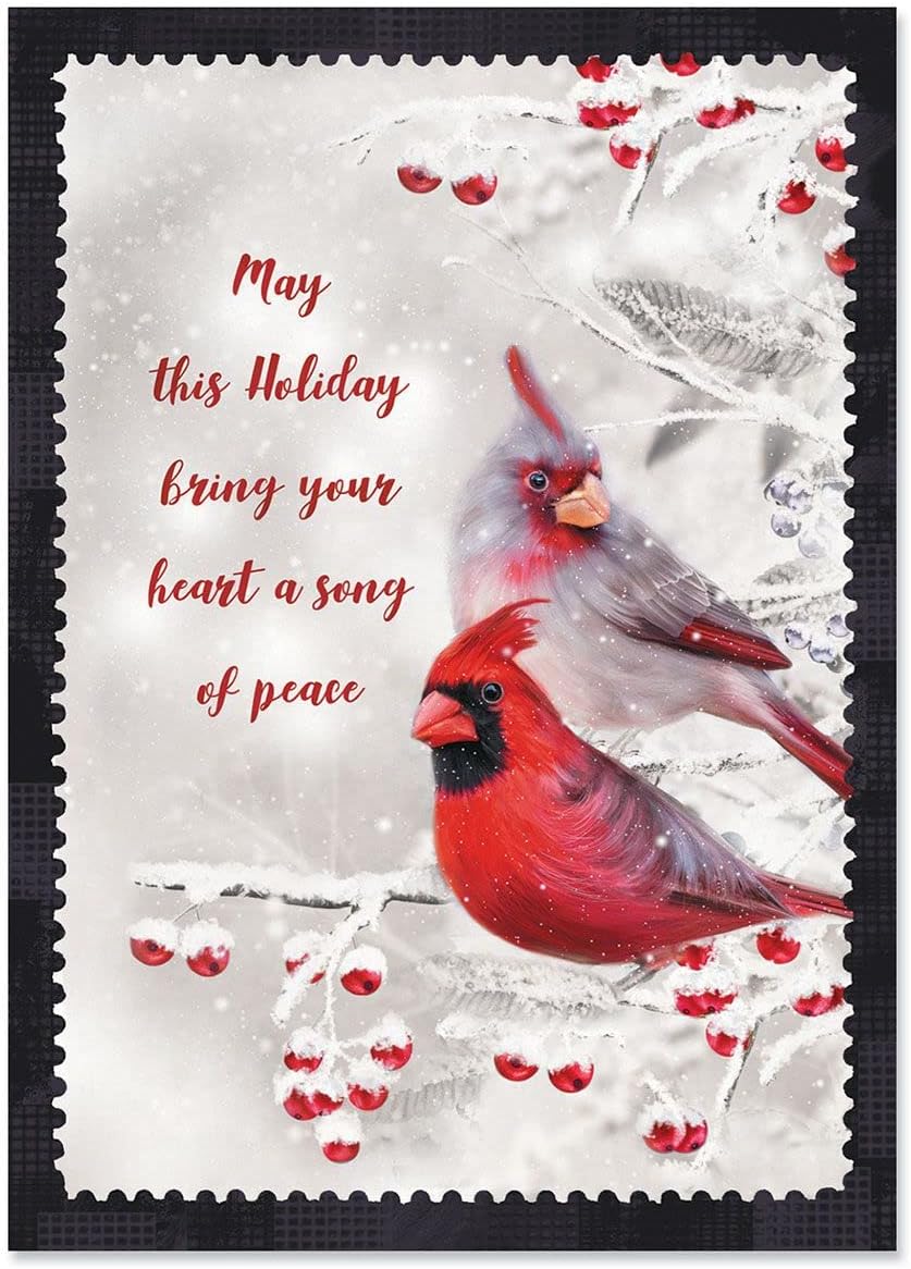 Amazon.com : Current Winter Cardinal Personalized Christmas Greeting ...