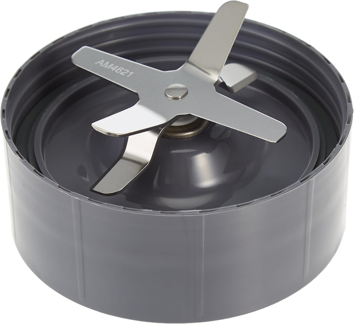 Amazon.com: NutriBullet Extractor Blade .60 Lbs, Grey