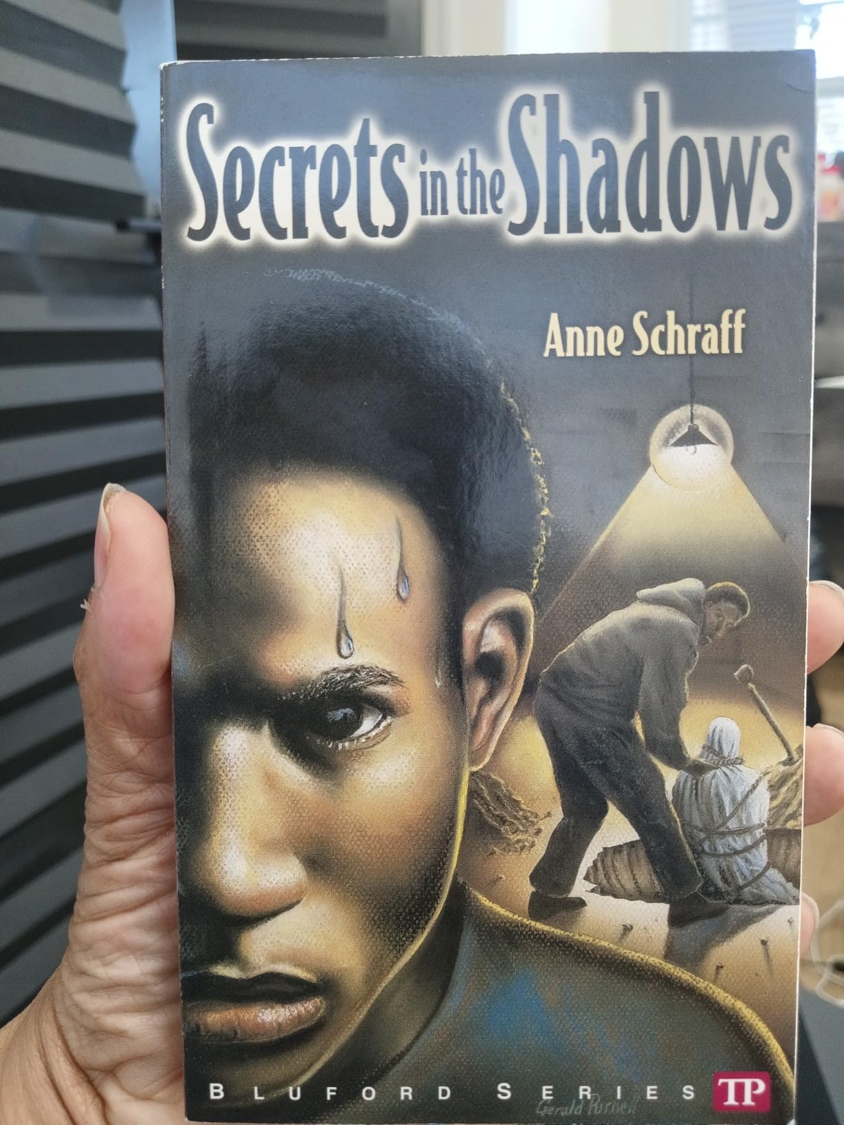 Amazon.com: Secrets in the Shadows (Bluford High Series #3 ...
