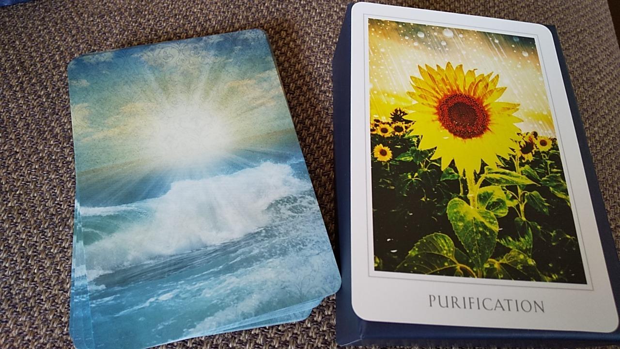 Amazon | Sacred Destiny Oracle: A 52-Card Deck to Discover the ...