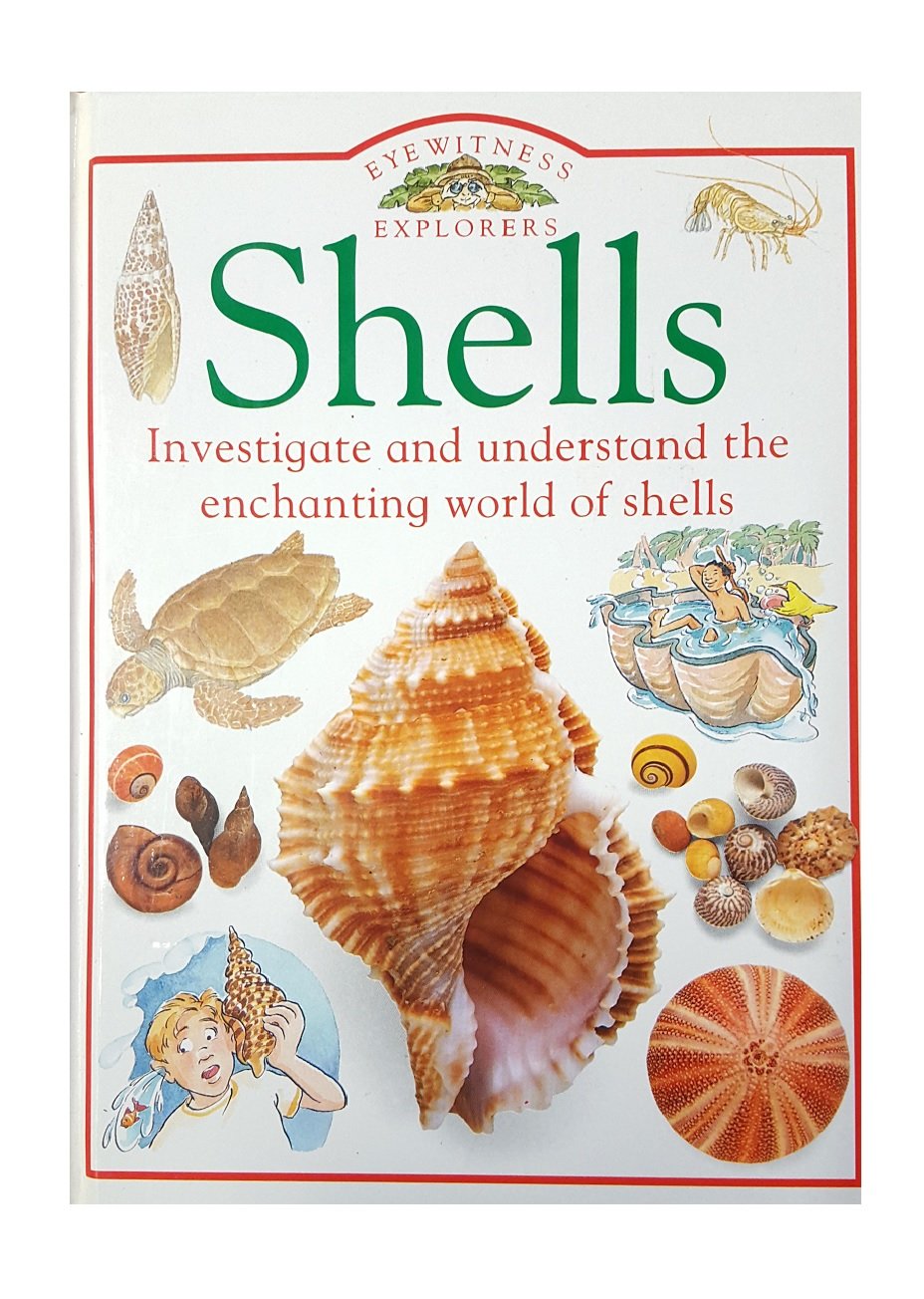 Shells (Eyewitness Explorers): DK: 9781564582294: Amazon.com: Books