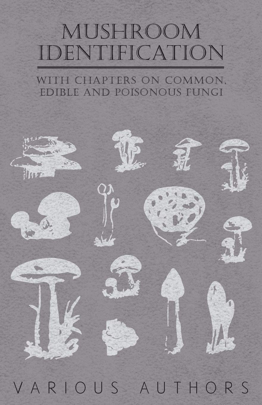 Amazon.in: Buy Mushroom Identification - With Chapters on Common Edible ...