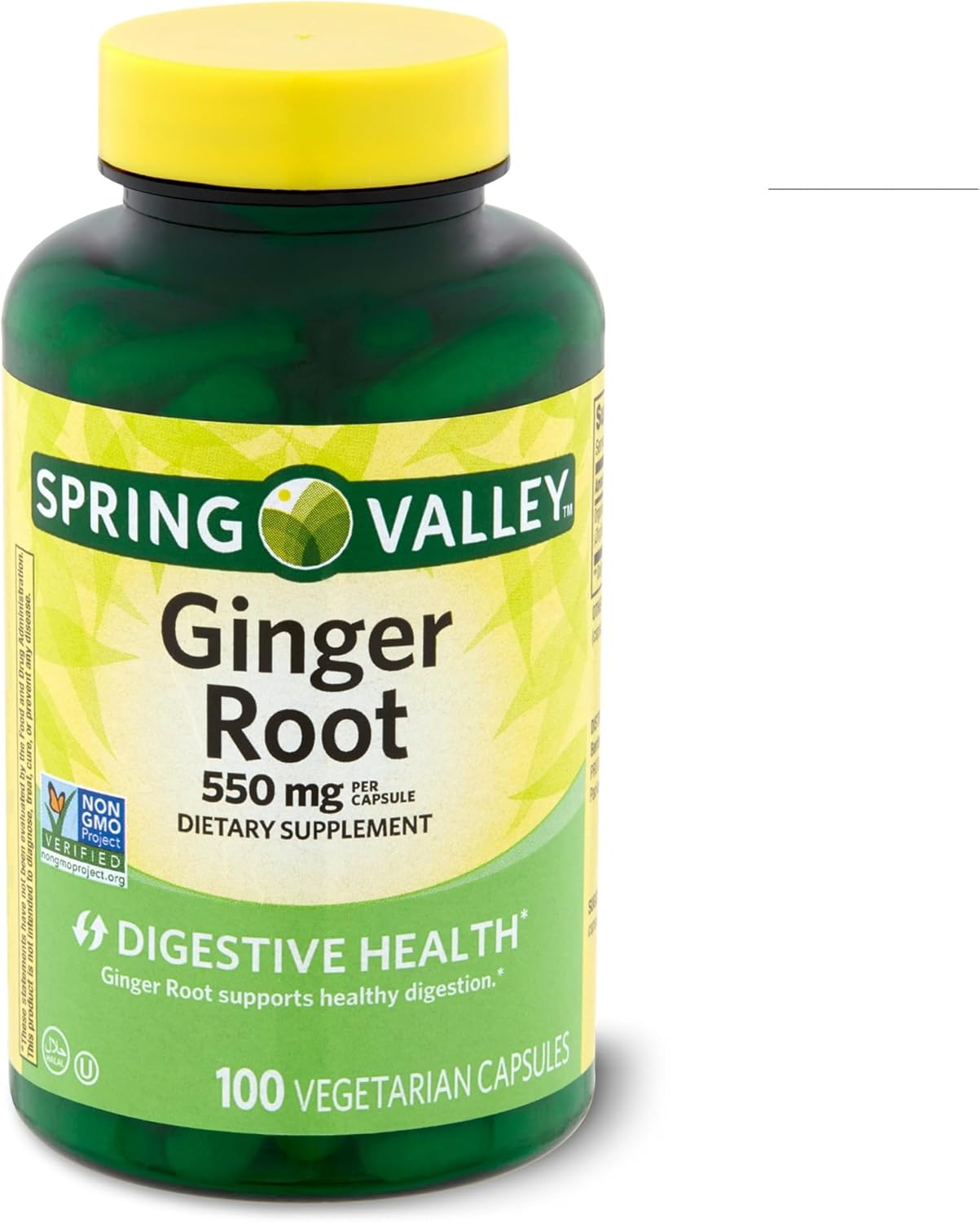 Amazon.com: 4 TOP CARE Ginger Root Digestive Health Dietary Supplement ...