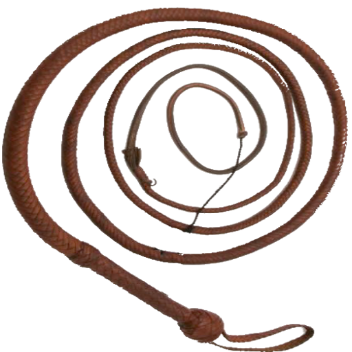 The Whip - App on Amazon Appstore