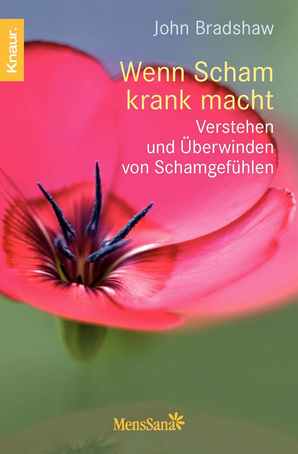 Amazon.com: Wenn Scham krank macht: 9783426873274: John Bradshaw: Books