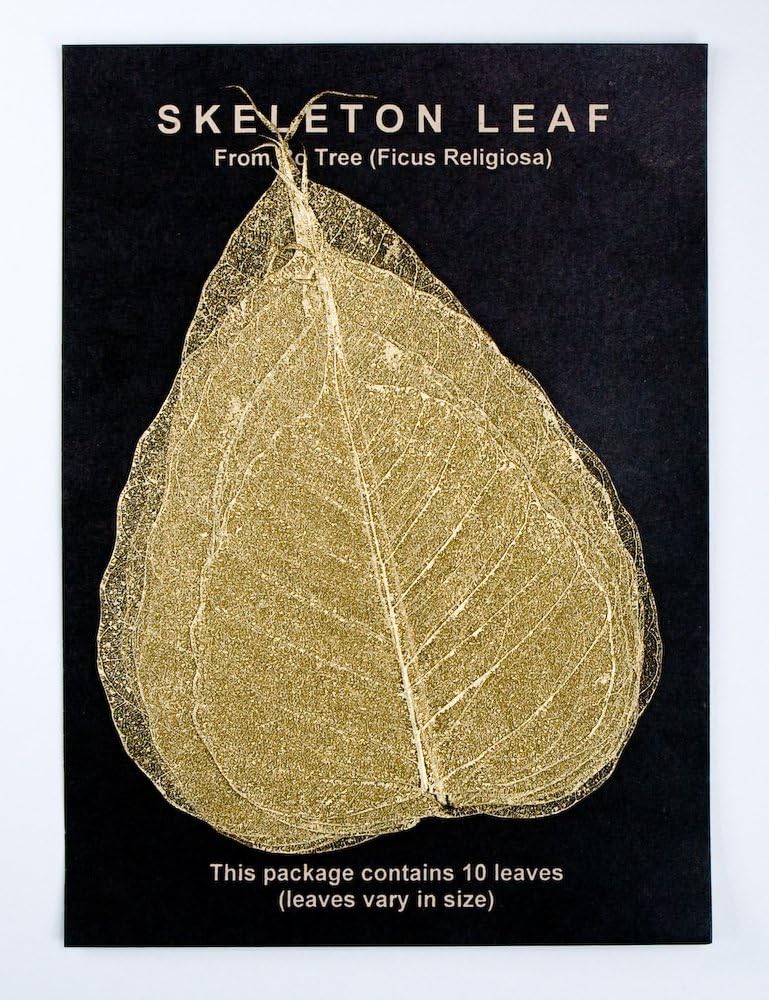 Amazon.com: Gold Bo Leaf
