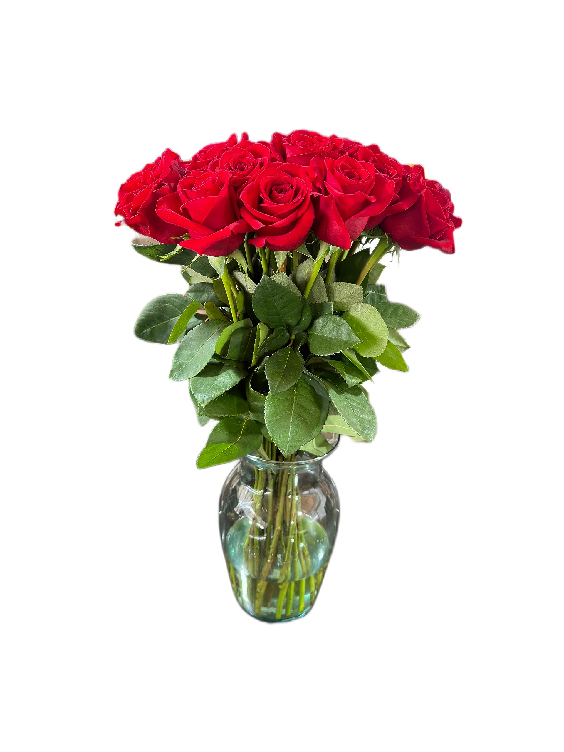 Amazon.com : Boyaca flowers, 24 stem red rose with vase, farm fresh ...