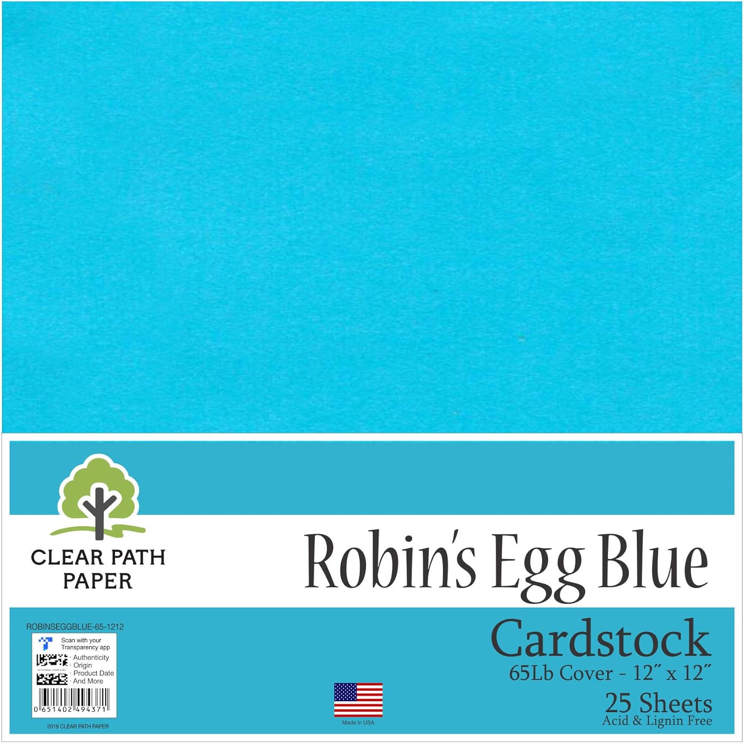 Robin's Egg Blue Cardstock - 12 x 12 inch - 65lb Cover / 176gsm - 25 ...