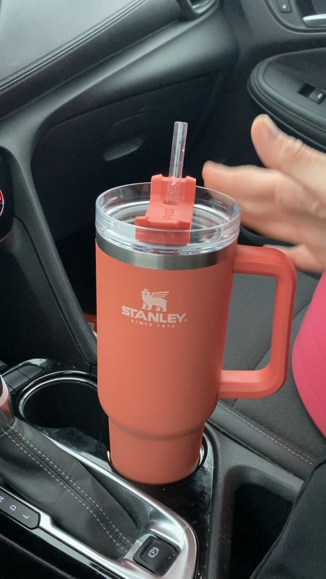 Watch The Stanley Cup Review you NEED to see! 40 oz Size on Amazon Live