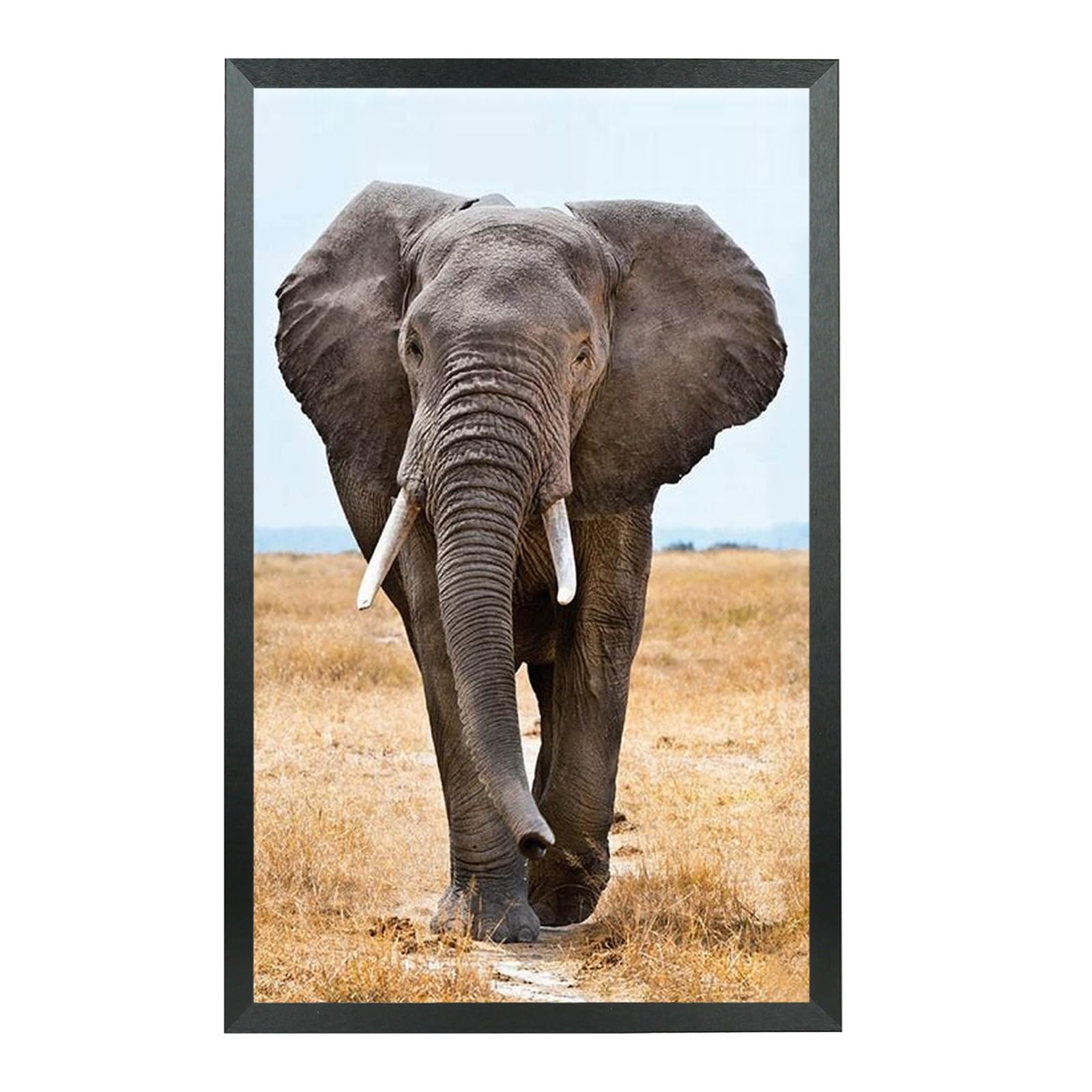 Amazon.com - Mxtallup 12x22 Picture Frame Solid Wood 12x22 Poster Frame ...