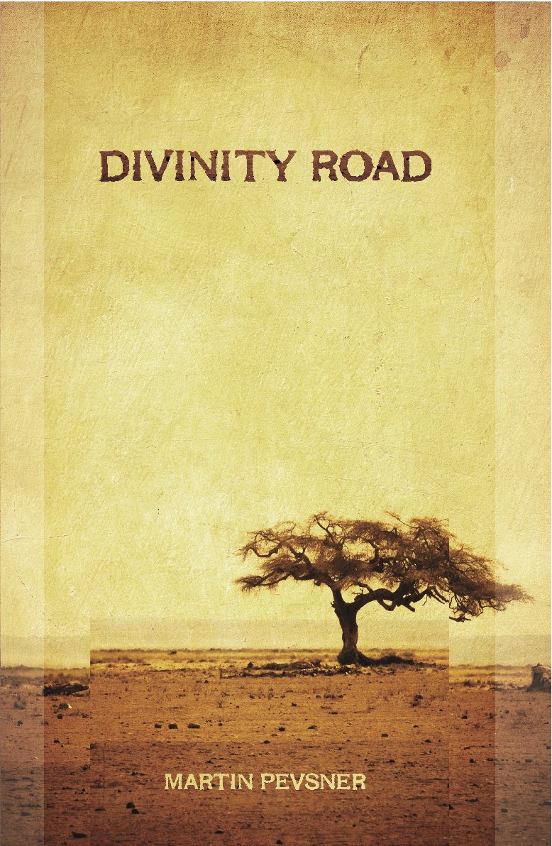 Divinity Road: Pevsner,Martin Pevsner: 9781904955795: Amazon.com: Books