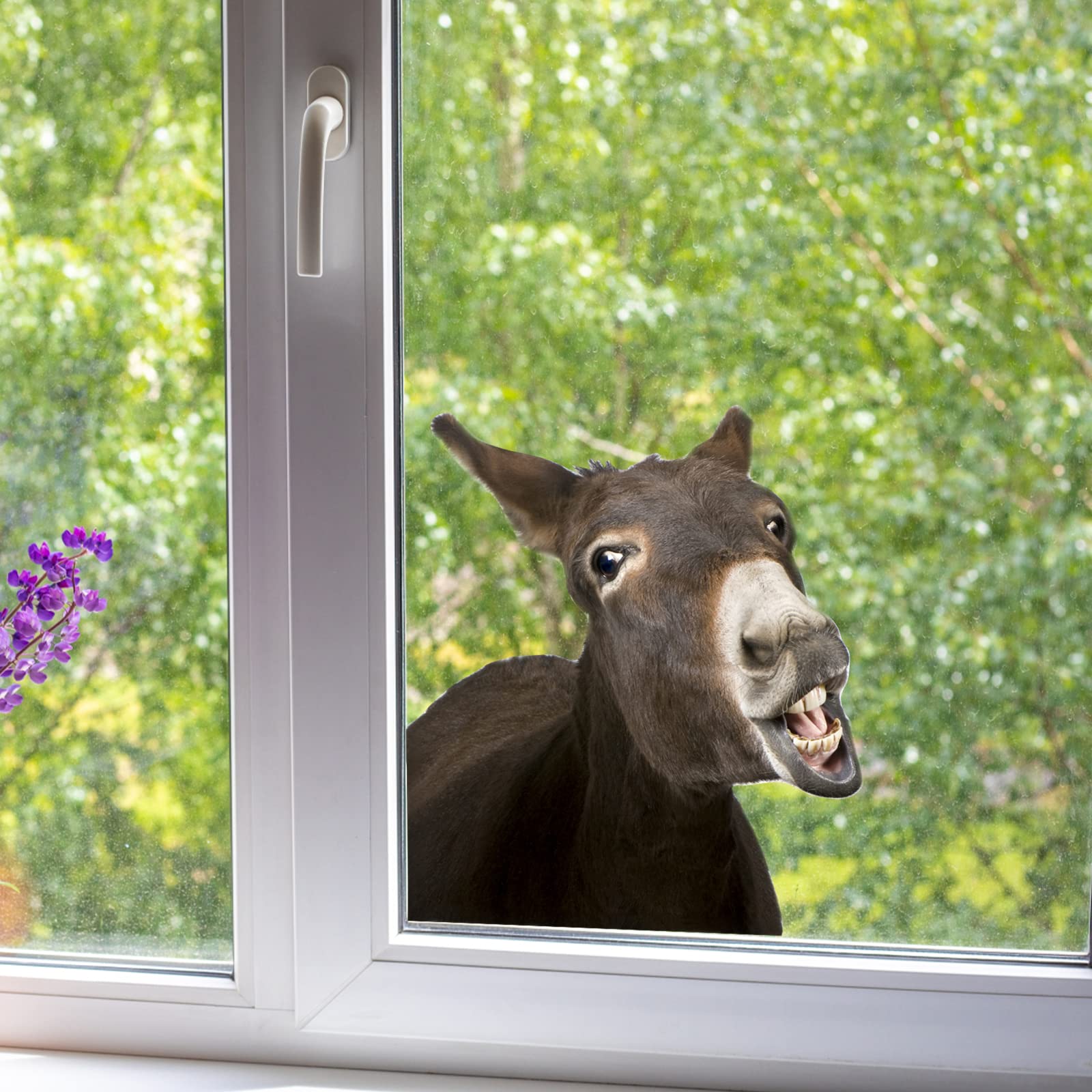 Snapklik.com : Vinyl Funny Donkey Animal Wall Decal Peel And Stick ...