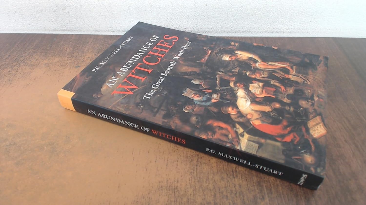 An Abundance Of Witches: The Great Scottish Witch Hunt: Maxwell-Stuart ...