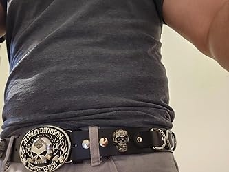 Amazon.com: Harley-Davidson Men's Immunity Skull Belt Buckle, Antique ...