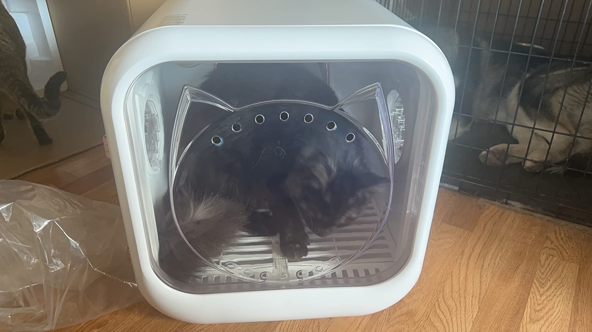 $33/mo - Finance GOODMOM Automatic Pet Dryer for Cats and Small Dogs ...