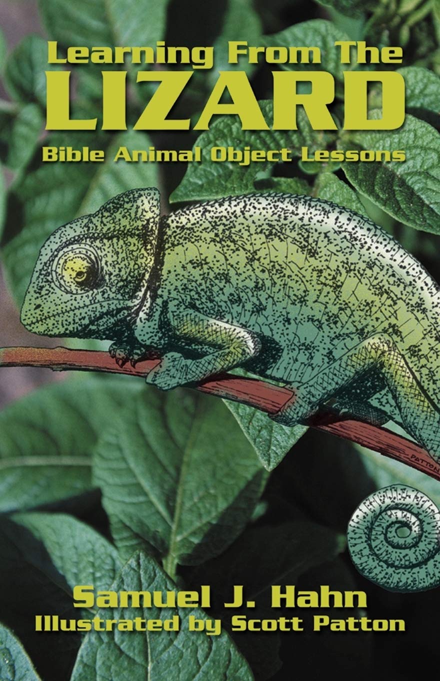 Learning from the Lizard: Hahn, Samuel: 9780788015939: Amazon.com: Books