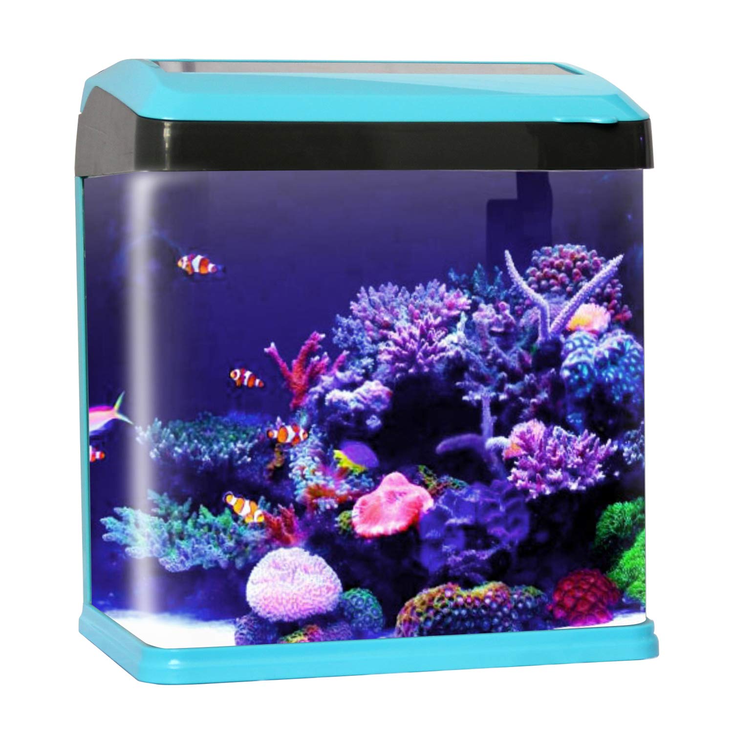 JAINSONS PET PRODUCTS Fish Aquarium Tank | 17L Small Size Glass Tank ...