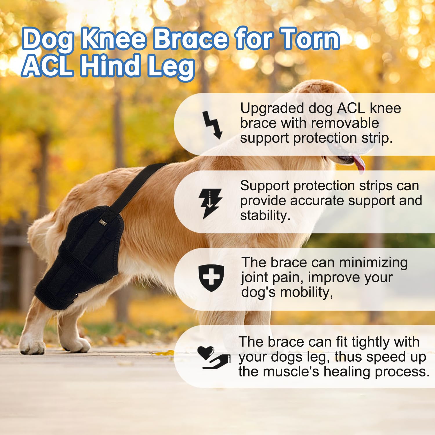 Lineiss Dog Knee Brace for Torn ACL Hind Leg Dog ACL Brace for Rear Leg ...
