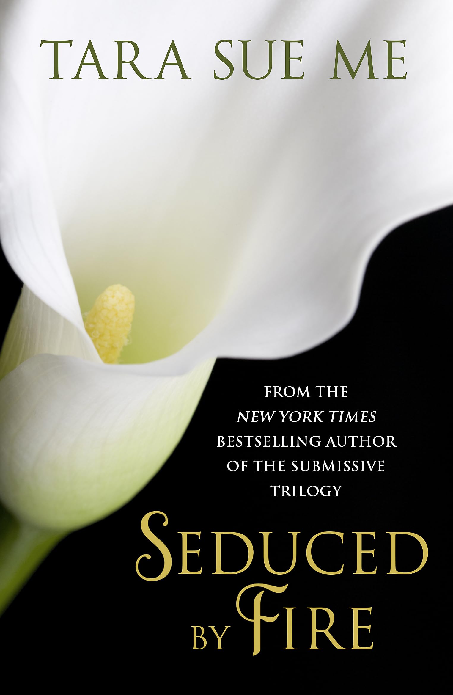 Seduced By Fire: A Partners In Play Novel: Tara Sue Me: 9781472208163: Amazon.com: Books